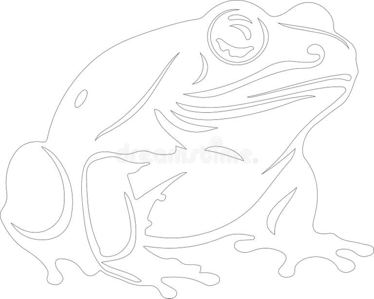 Toad Outline Stock Illustrations – 1,986 Toad Outline Stock ...