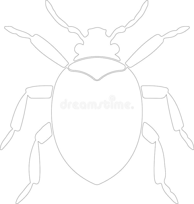 Waterbug Outline Stock Illustrations – 30 Waterbug Outline Stock ...