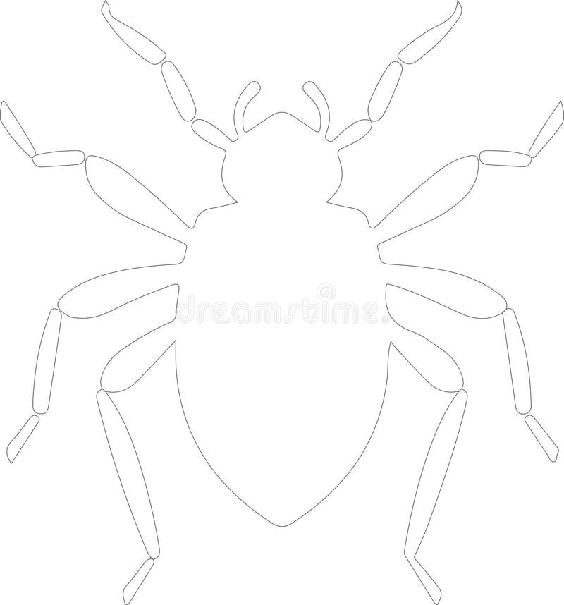 Waterbug Outline Stock Illustrations – 30 Waterbug Outline Stock ...