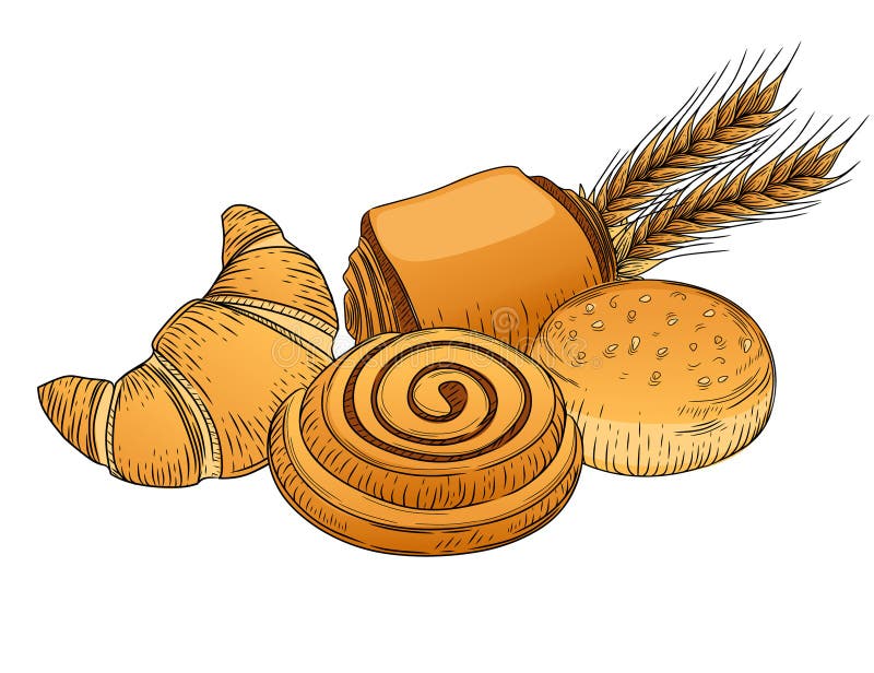 Outline Sketch Of Tasty Sweet Buns Vector Illustration On White Background Stock Image Image