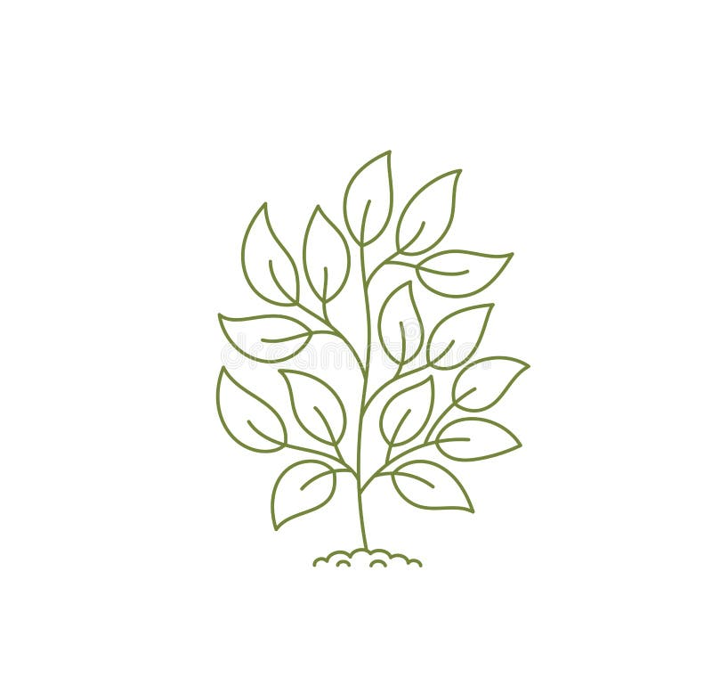 Outline Small Tree. Open Paths. Editable Stroke. Custom Line Thickness ...
