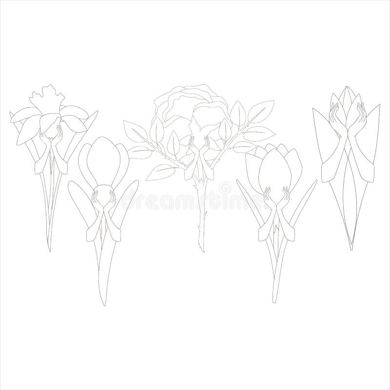 An Outline of Spring Flowers for Coloring Stock Vector - Illustration ...