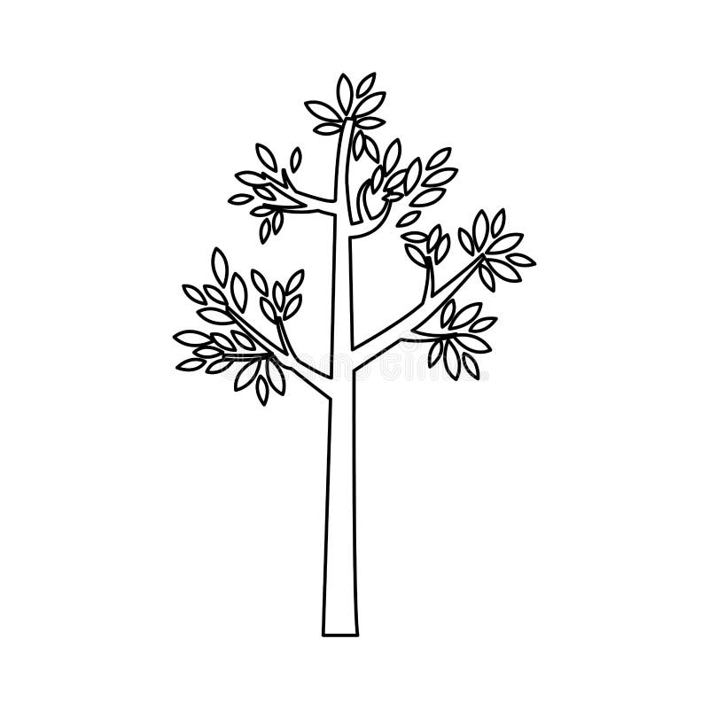 Outline Tree with Leaves and Trunk Stock Illustration - Illustration of ...