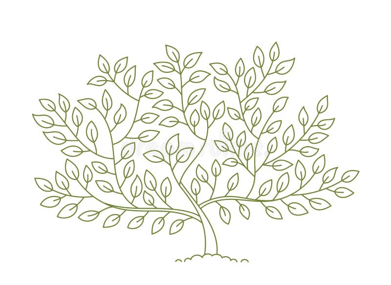 Outline Tree. Open Paths. Editable Stroke. Custom Line Thickness ...