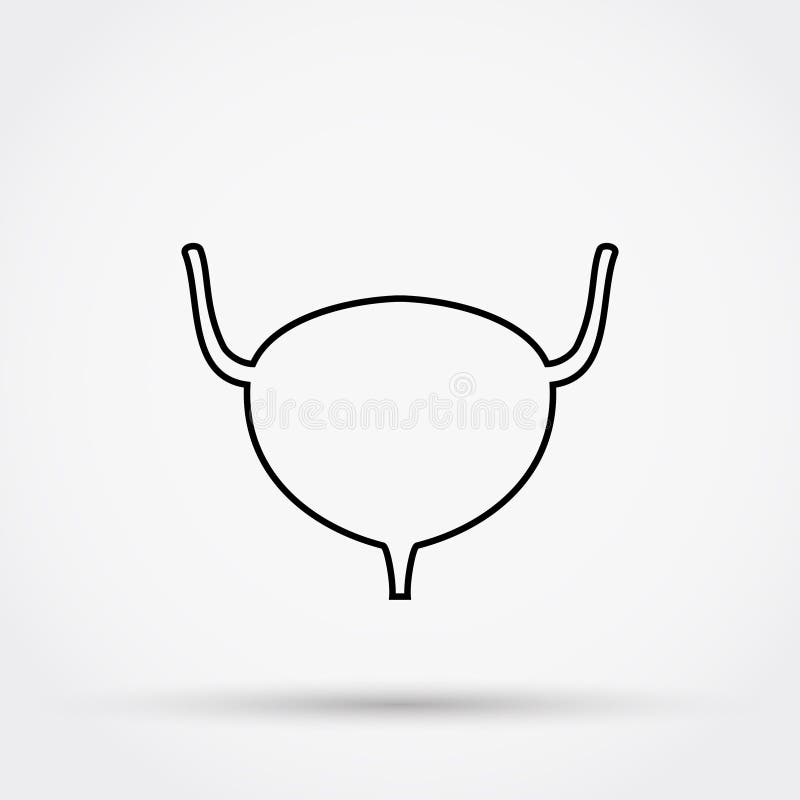 Bladder Vector Icon. Bladder Editable Stroke. Bladder Linear Symbol for ...