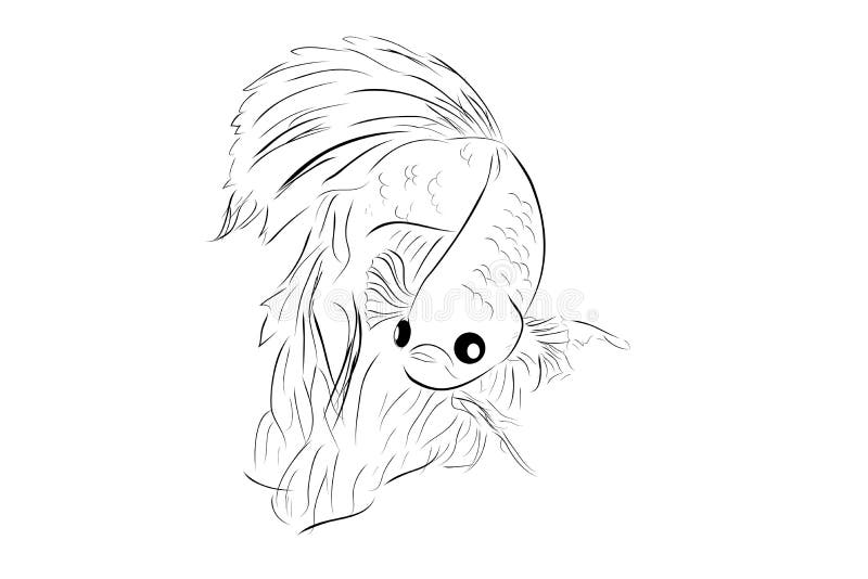 Simple Outline Vector Betta or Siamese Fighting Fish, Giant Half Moon ...