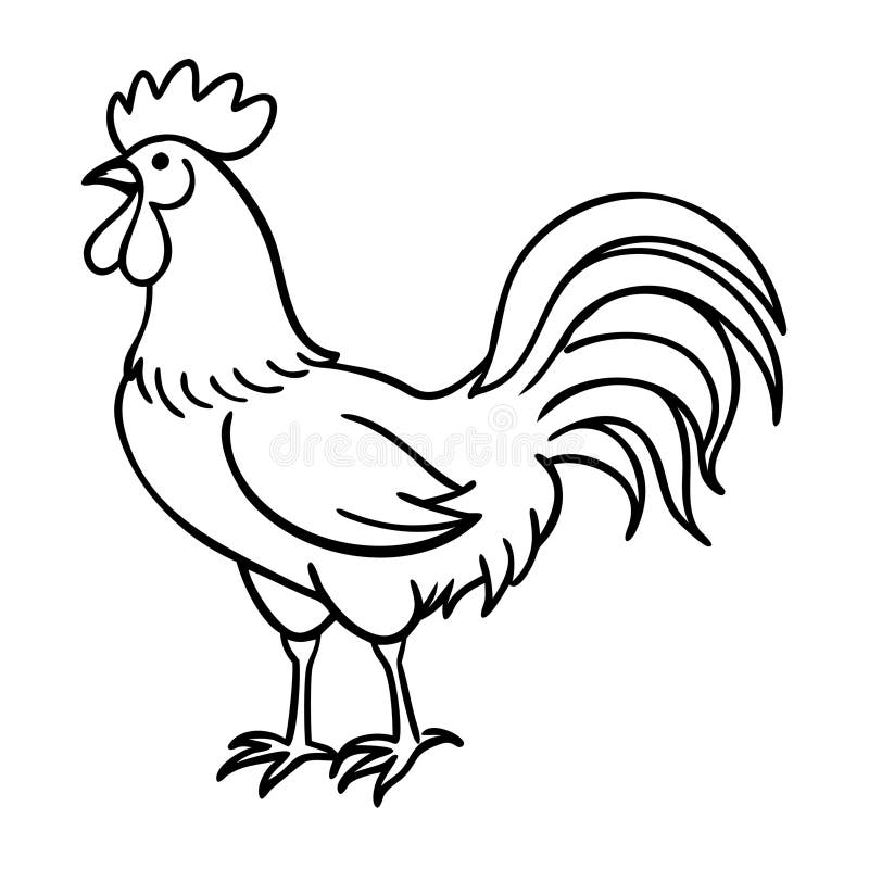 Outline Vector Illustration of Rooster with Detailed Feather and Comb ...