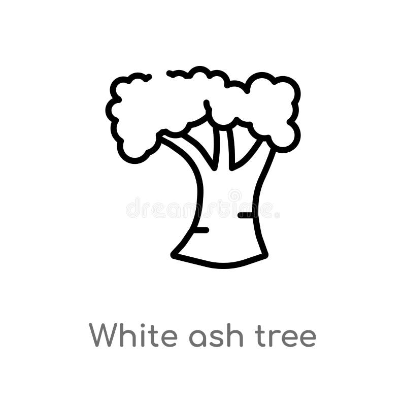 Outline White Ash Tree Vector Icon. Isolated Black Simple Line Element ...
