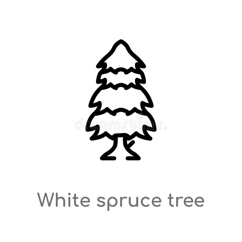 Outline White Spruce Tree Vector Icon. Isolated Black Simple Line ...