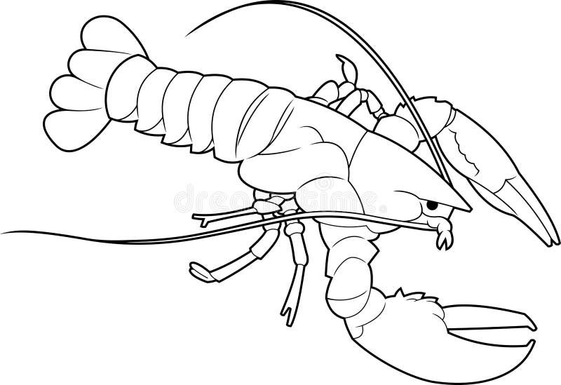 Outlined Cartoon Lobster with Two Claws Stock Vector - Illustration of ... Outlined Cartoon Lobster with Two Claws Stock Vector - Illustration of ...