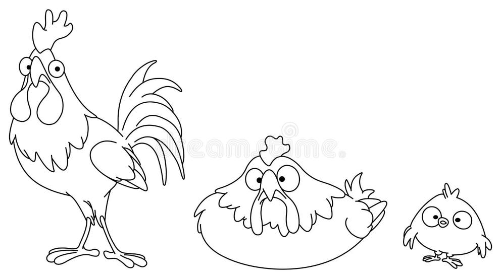 Outlined chicken family stock vector. Illustration of coloring - 16062329