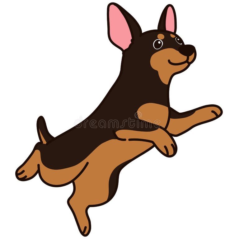 Outlined Miniature Pinscher Jumping and Playing Stock Vector ...