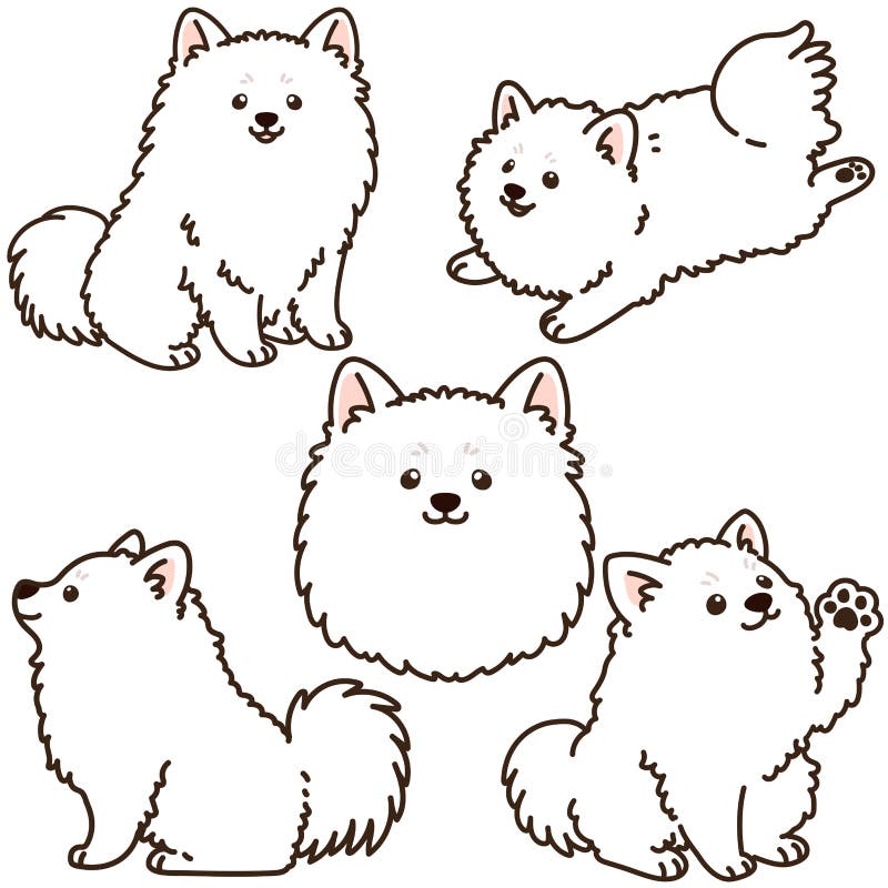 Outlined Simple and Adorable Japanese Spitz Illustrations Set Stock ...