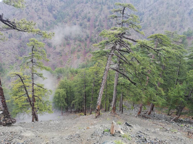 Outlook stock image. Image of mountain, highs, nature - 147468983