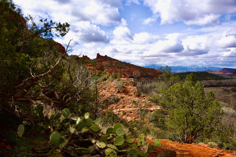 The Outlook To the Red Rocks through the Trees Stock Photo - Image of ...