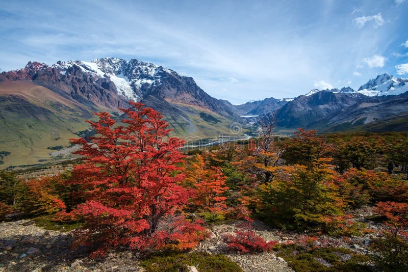 Lago Huemul - Patagonia - Argentina Imagem de Stock - Imagem de detalhe ...