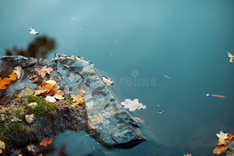 165 Hello September Water Marks Stock Photos - Free & Royalty-Free ...