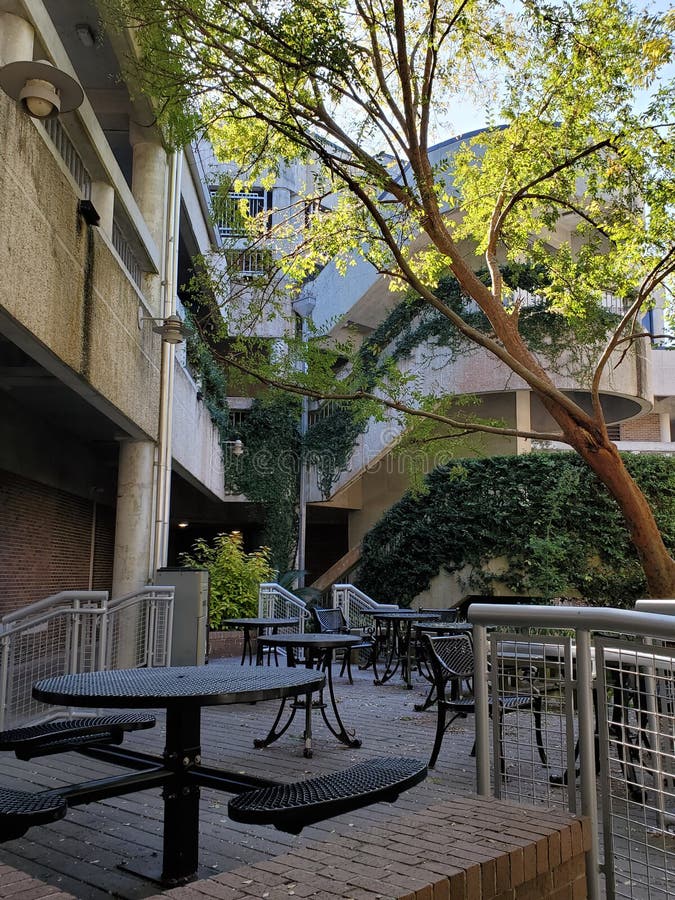 Outside Dining Area stock photo. Image of dining, nature - 164247466