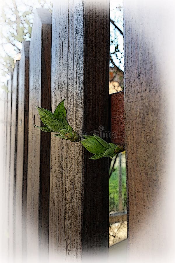 Outside the fence stock illustration. Illustration of green - 144454894