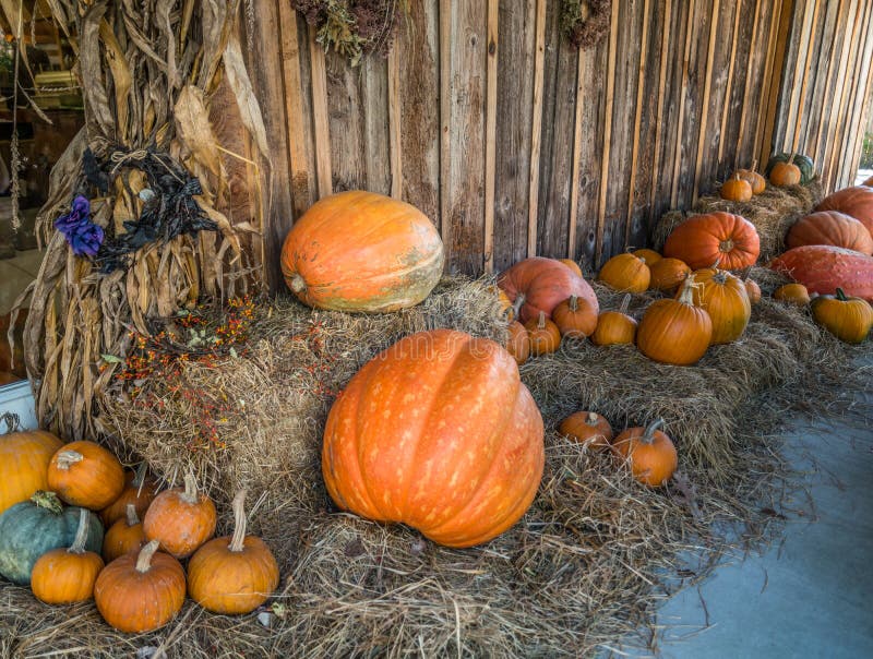 Rustic Autumn Display Outdoors Stock Image - Image of thanksgiving ...