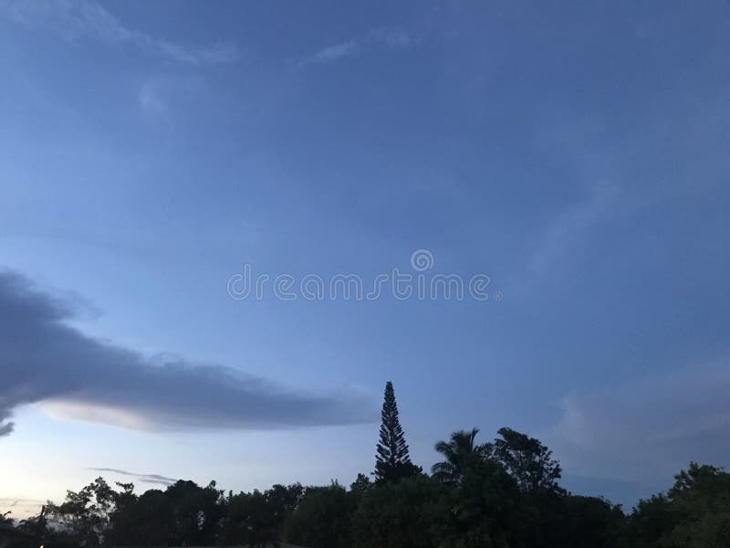 Outside stock image. Image of evening, like, outside - 126637577