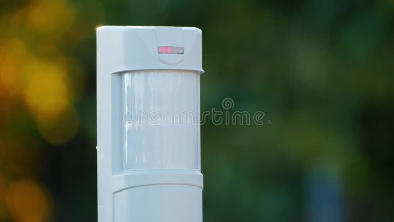 Outside the Room, a Motion Sensor is Triggered. Perimeter Security ...