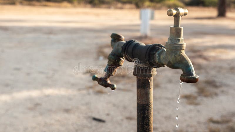 Water Conservation, Saving Dripping Water in a Container, Garden Stock ...