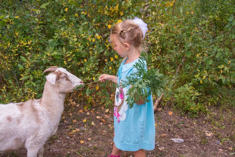 109 Man Riding Goat Stock Photos - Free & Royalty-Free Stock Photos ...