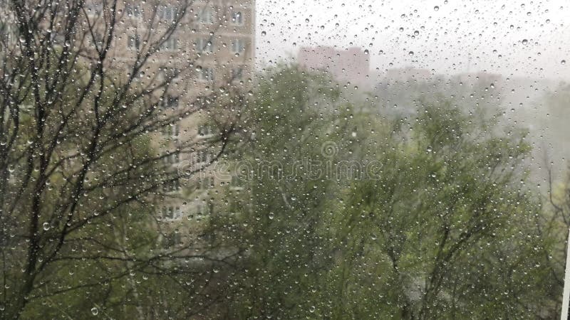 Outside the Window the Heavy Rain and Strong Wind, Drops Flow Down the ...
