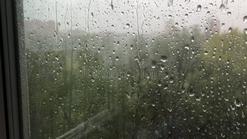 Outside the Window the Heavy Rain and Strong Wind, Drops Flow Down the ...