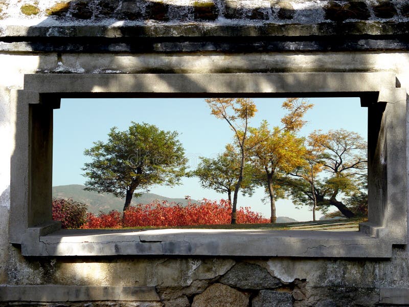 Outside window scenery stock photo. Image of view, blooming - 1605688