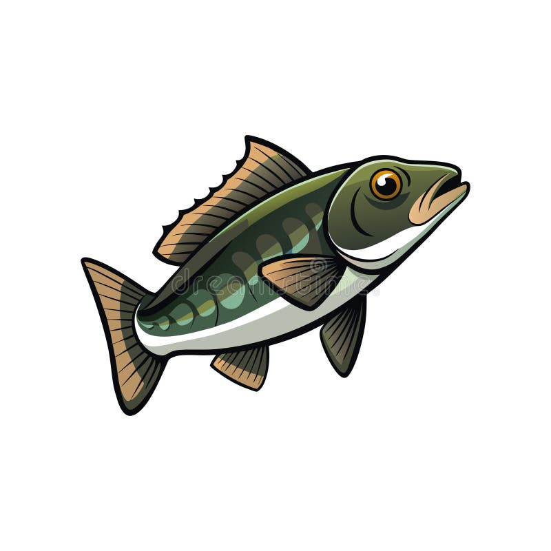 Outstanding Atlantic Cod Colorful Representation Stock Illustration ...