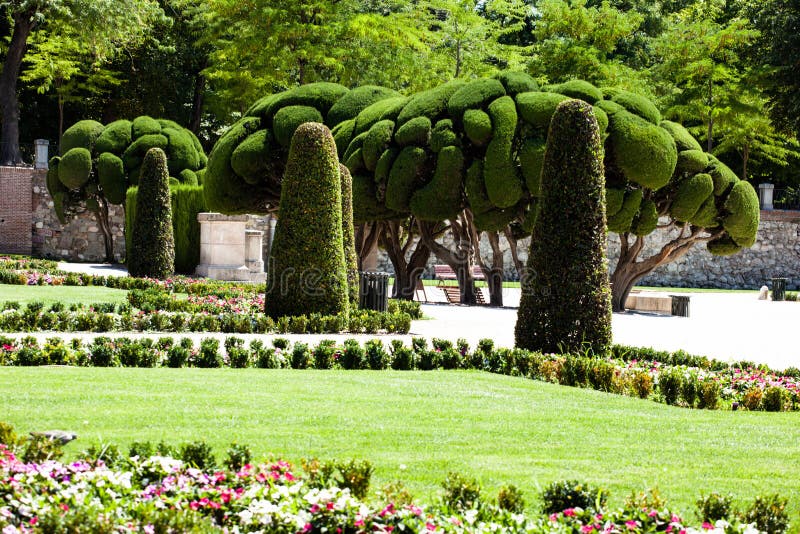 Outstanding Cypress Trees in Retiro Park in Madrid, Spain Stock Photo ...