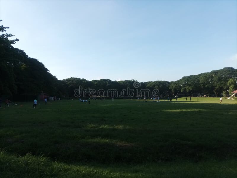 Outstanding Scenery of Up Diliman Stock Image - Image of plant, park: 282888185