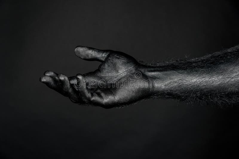 2,702 Outstretched Hand Palm Stock Photos - Free & Royalty-Free Stock ...