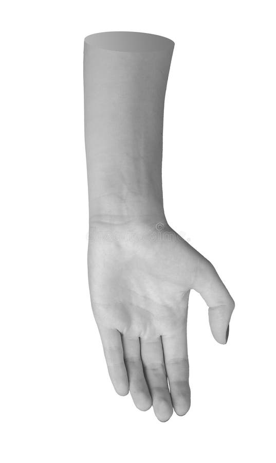 Outstretched Left Hand and Arm, Palm Facing Front in Grayscale. Fingers ...