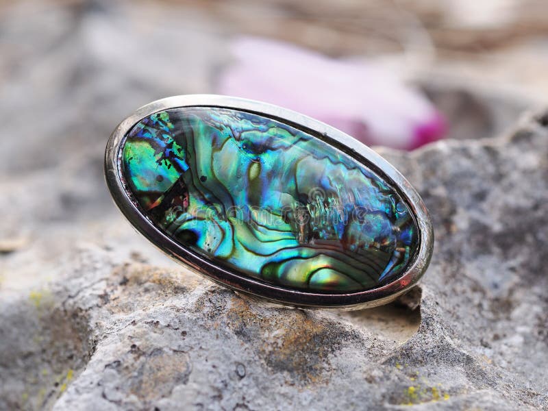 Oval Abalone on a Light Stone Background Stock Photo - Image of ...