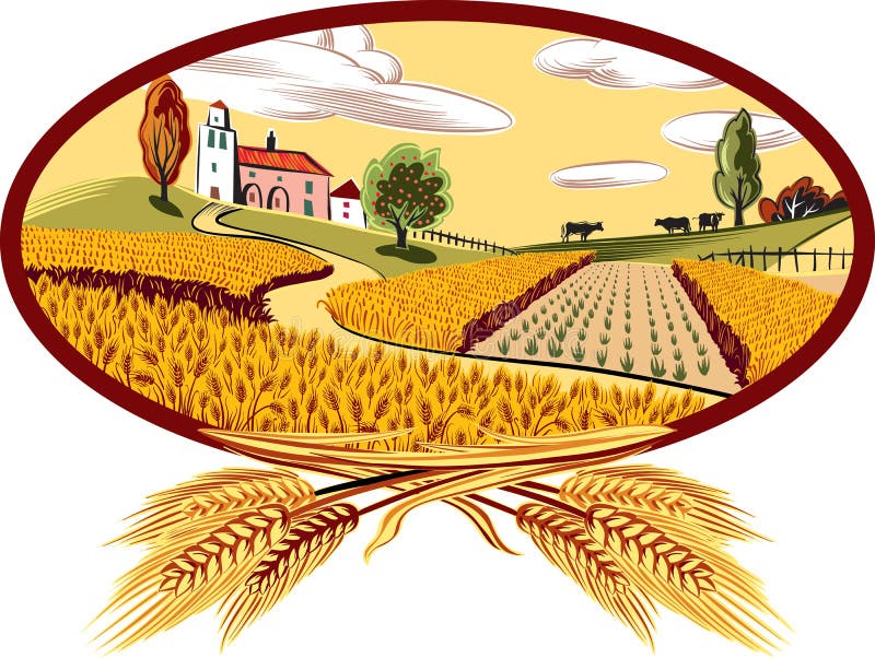 Oval with ears of wheat stock illustration. Illustration of field ...