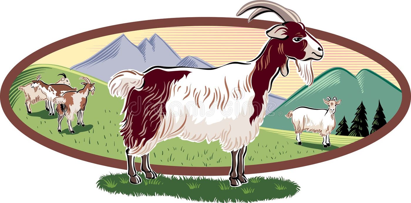 Goats Grazing Stock Illustrations – 8,746 Goats Grazing Stock ...