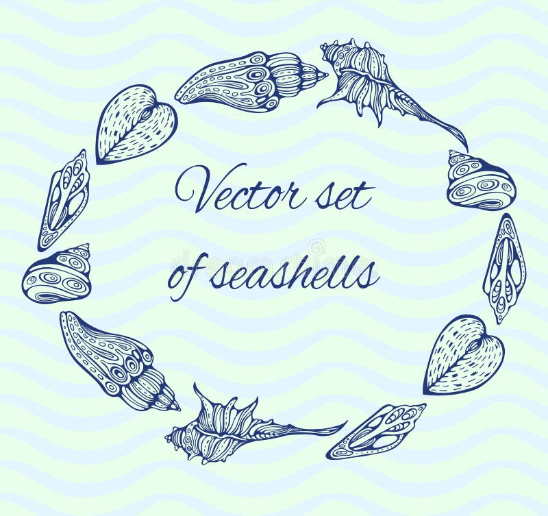 Oval Frame Made of Various Sea Shells Stock Vector - Illustration of ...