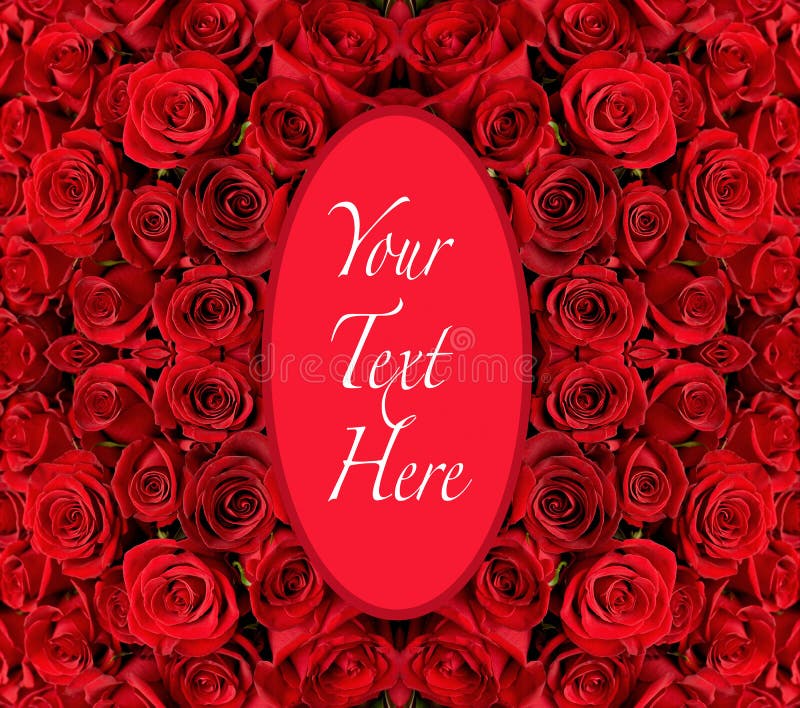 Oval Frame Over Red Roses Background Stock Image - Image of copy ...