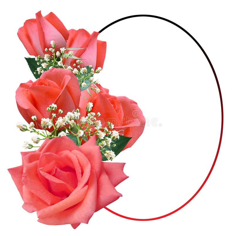 Oval frame with roses stock illustration. Illustration of decoration ...