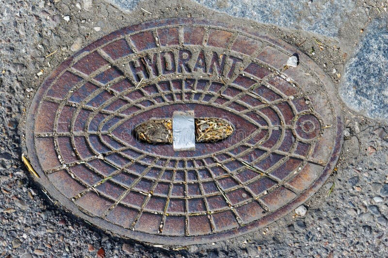 Oval Hydrant Cover in Concrete with Grid Pattern Stock Image - Image of ...