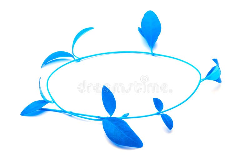 Oval Leaf Frame. Blue Saturation Color Stock Illustration ...