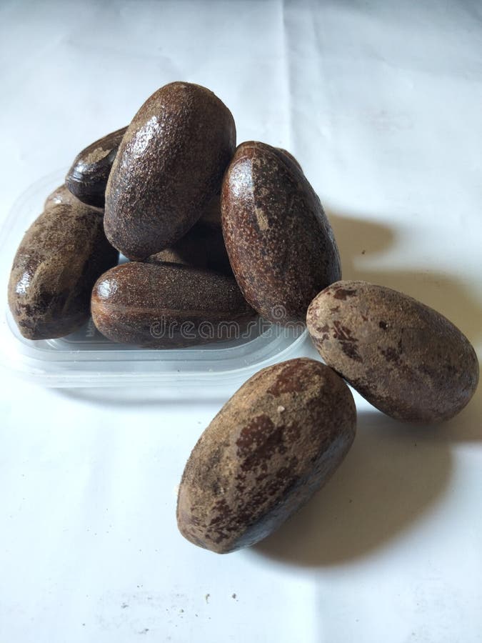 Oval nutmeg seeds stock image. Image of nutmeg, brown - 322432623