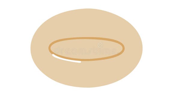 Oval Outline Shape Icon Vector, Basic Geometric Symbol Flat Design ...