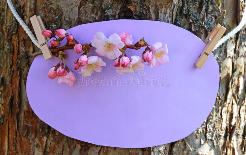 Oval Paper Shield with Blossoms Hanging on a Tree Bark Stock Photo ...