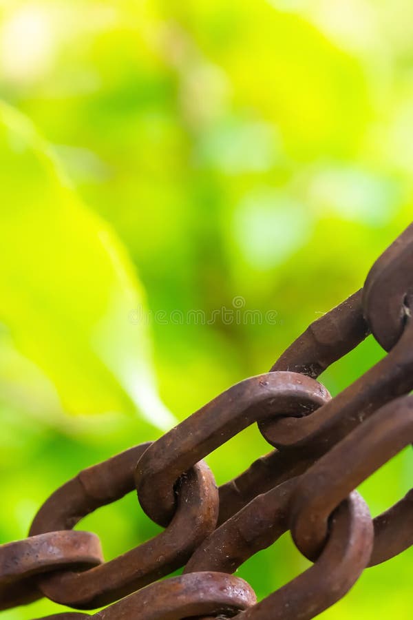 Oval Ring Brown Chain Tight Old Iron Close-up Border Copy Space on ...