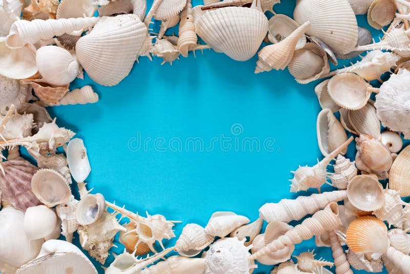 Oval Seashells Flat Lay Pattern on Blue Background, Sea Vacation Stock ...