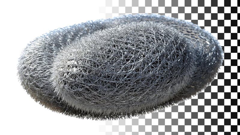 Oval,shaped Fuzzy Gray Stone or Object with a Soft, Textured Surface ...